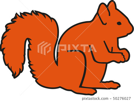 squirrel_real_2c.eps-插圖素材 [50276027] - PIXTA圖庫
