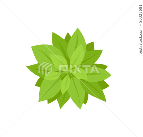 Green bush. View from above. Vector illustration. - Stock Illustration ...