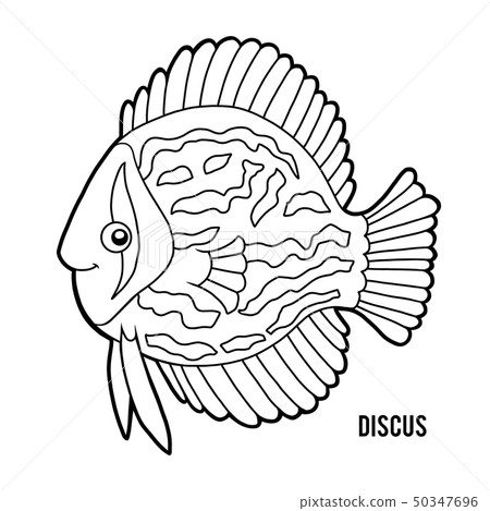 Coloring book, Discus fish - Stock Illustration [50347696] - PIXTA