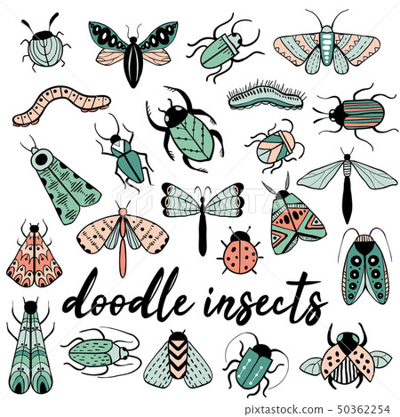 Big colorful hand drawn doodle set with insects - Stock Illustration ...