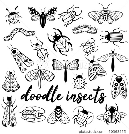Big hand drawn doodle set with insects - Stock Illustration [50362255 ...