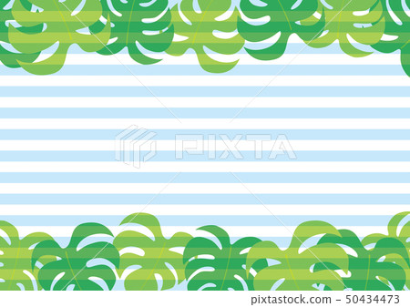 Monstera border background - Stock Illustration [50434473] - PIXTA