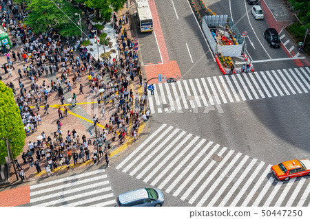 [Tokyo] Shibuya scramble intersection - Stock Illustration [50447250 ...