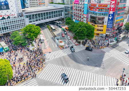 [Tokyo] Shibuya scramble intersection - Stock Illustration [50447253 ...