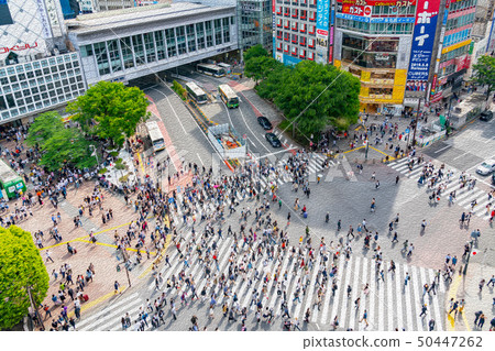 [Tokyo] Shibuya scramble intersection - Stock Illustration [50447262 ...