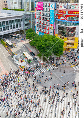 [Tokyo] Shibuya scramble intersection - Stock Illustration [50447264 ...