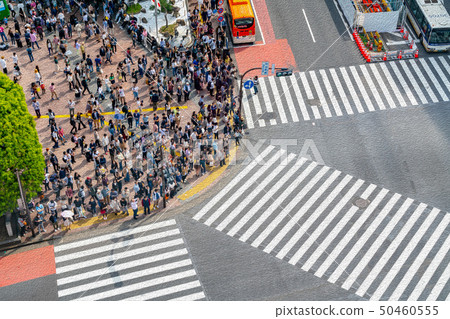 [Tokyo] scramble intersection - Stock Illustration [50460555] - PIXTA