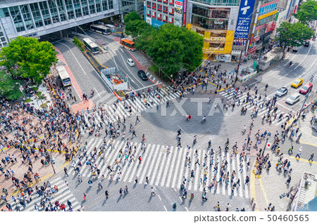 [Tokyo] scramble intersection - Stock Illustration [50460565] - PIXTA