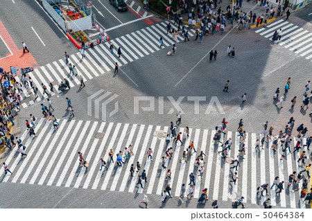 [Tokyo] scramble intersection - Stock Illustration [50464384] - PIXTA
