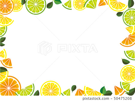 Citrus frame illustration - Stock Illustration [50475208] - PIXTA