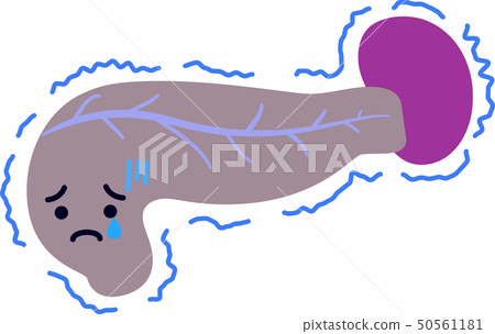 Pancreas Spleen Duodenal Health Care Human Body... - Stock Illustration ...