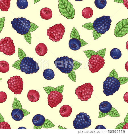 Seamless pattern of wild berries. Vector - Stock Illustration [50599559 ...
