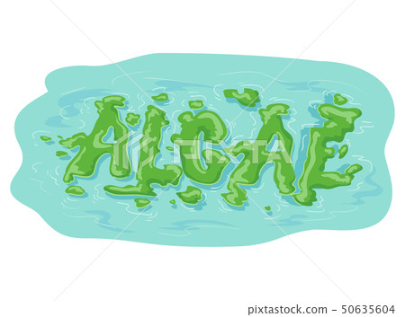 Botany Algae Illustration - Stock Illustration [50635604] - PIXTA