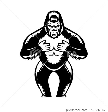 Silverback Gorilla Beating Chest Woodcut - Stock Illustration [50686167 ...
