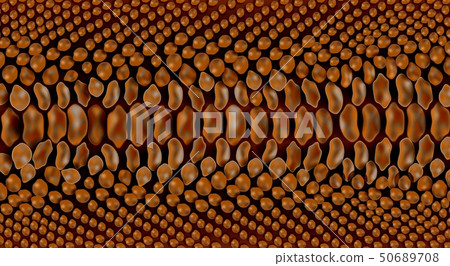 Vector snake brown reptile skin texture background - Stock Illustration ...