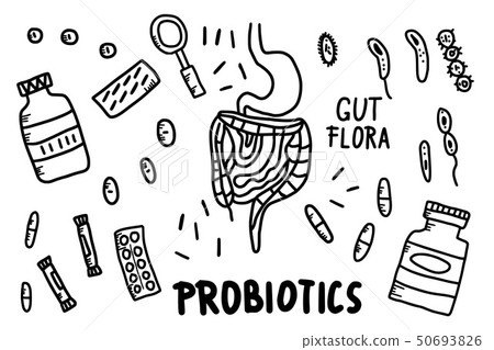 Probiotic vector concept illustration. Gut flora. - Stock Illustration ...