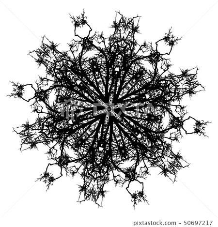 Leafless branch mandala-插圖素材 [50697217] - PIXTA圖庫