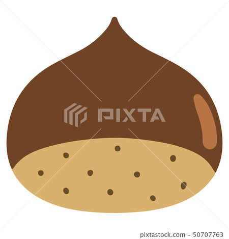 Chestnut without outline - Stock Illustration [50707763] - PIXTA