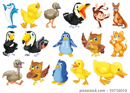 Set of animal character - Stock Illustration [50716019] - PIXTA
