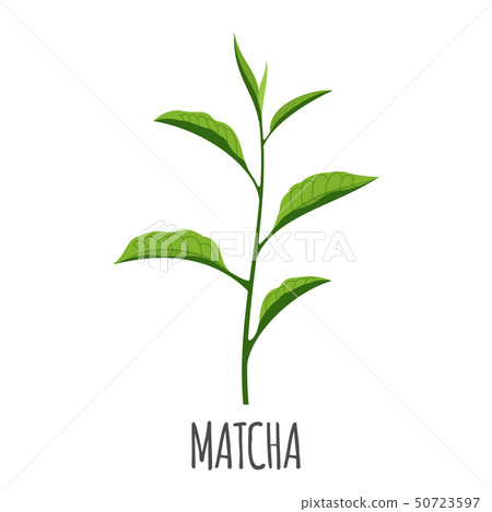 Matcha icon in flat style isolated on white. - Stock Illustration ...