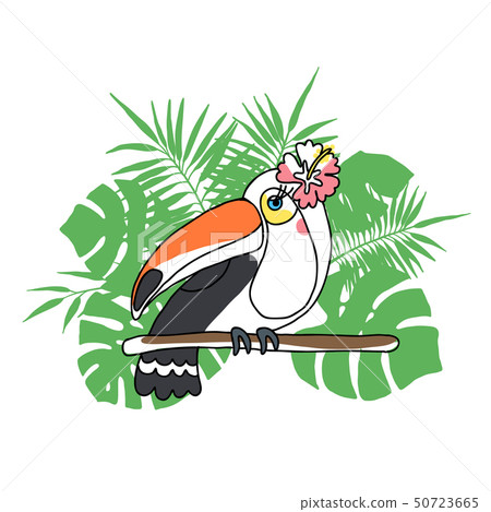 Cute toucan girl isolated on white background. - Stock Illustration ...