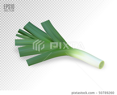Fresh leek on a white background. Photo... - Stock Illustration ...
