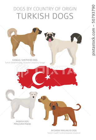 Dogs by country of origin. Turkish dog breeds.-插圖素材 [50793790] - PIXTA圖庫