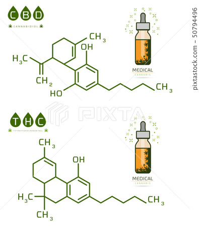 Thc and cbd of Cannabis molecule formula vector - Stock Illustration ...