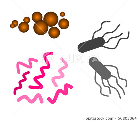 Pathogenic bacteria - Stock Illustration [50803064] - PIXTA