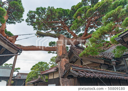 Sakata-shi Honma family former residence - Stock Photo [50809180] - PIXTA