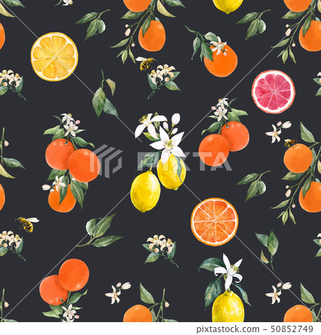 Watercolor citrus vector pattern - Stock Illustration [50852749] - PIXTA