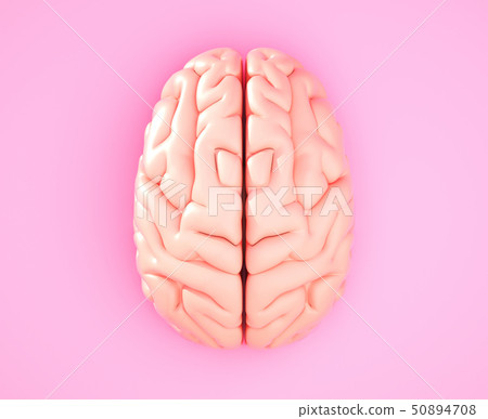 Pink brain on the color background - Stock Illustration [50894708] - PIXTA