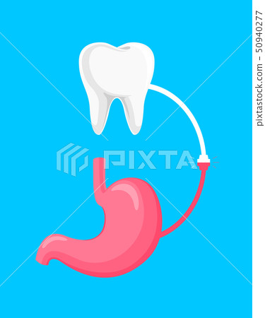 Connection between human tooth and stomach - Stock Illustration ...