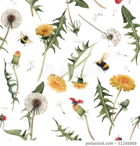 Watercolor dandelion blowball floral seamless... - Stock Illustration ...
