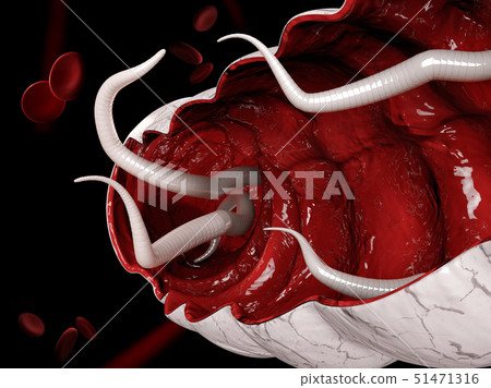 3d Illustration of a hookworm in the large... - Stock Illustration ...