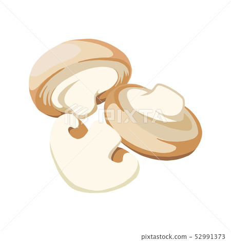 Champignon Mushrooms vector illustration - Stock Illustration [52991373 ...