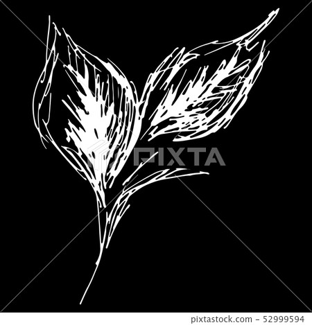 Abstract bay leaf outline icon isolated on black - Stock Illustration ...