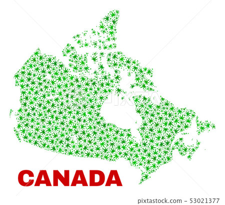 Hemp Leaves Mosaic Canada Map - Stock Illustration [53021377] - PIXTA