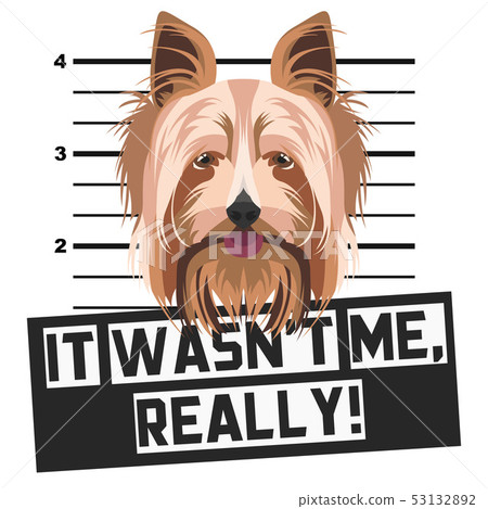 Mugshot mug shot Yorkshire Terrier - Stock Illustration [53132892] - PIXTA