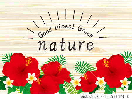 Hibiscus poster - Stock Illustration [53137428] - PIXTA