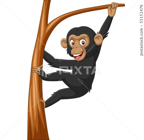 Cartoon baby chimpanzee hanging in tree branch - Stock Illustration ...