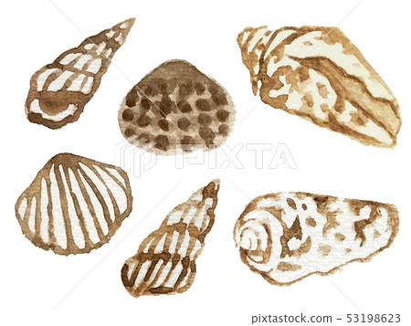 Shellfish watercolor illustration set (sepia) - Stock Illustration ...