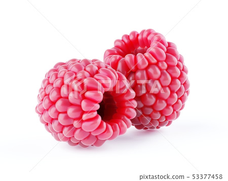 Isolated berries. Two raspberry fruits isolated on - Stock Illustration ...