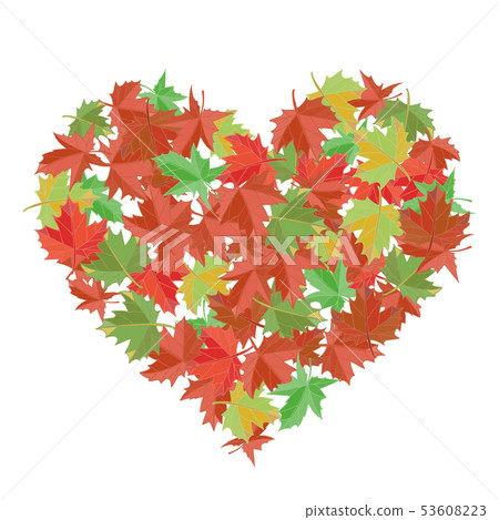 Maple leaves in the shape of heart. - Stock Illustration [53608223] - PIXTA