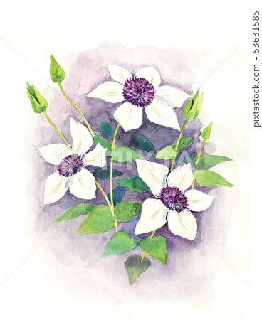 Tessen - Stock Illustration [53631585] - PIXTA