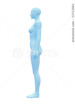 Female body, body, whole body - Stock Illustration [53722661] - PIXTA