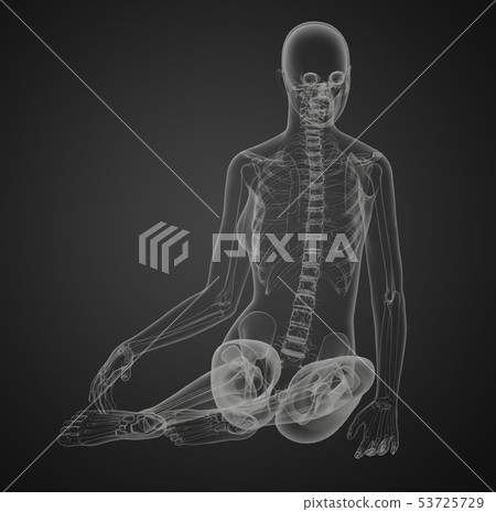 3d rendering of human - Stock Illustration [53725729] - PIXTA