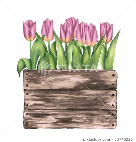 Wooden box with pink tulips - Stock Illustration [53740226] - PIXTA
