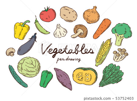 Vegetable pen drawing color - Stock Illustration [53752403] - PIXTA