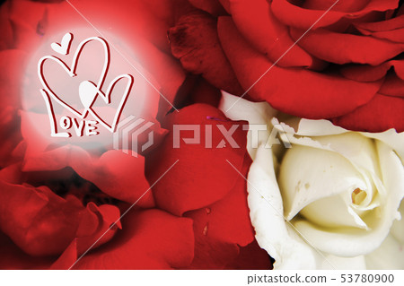 Beautiful red and white roses with postcard LOVE. - Stock Illustration ...